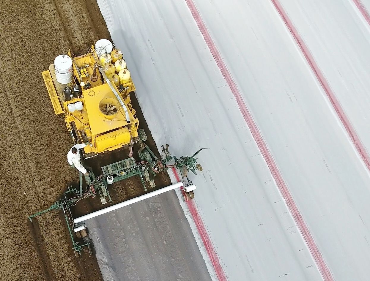 What is Soil Fumigation- And Why Does It Matter? | Teleos Ag Solutions